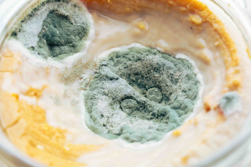Mold Toxicity Treatment - What You Need to Know - Healthful Plus